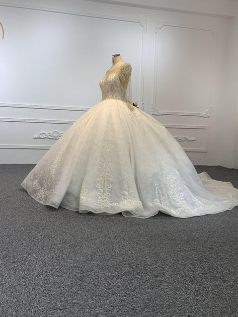 29776-1 The Luxury Beading Flesh Color Net Ball Gown With Embroidered ...